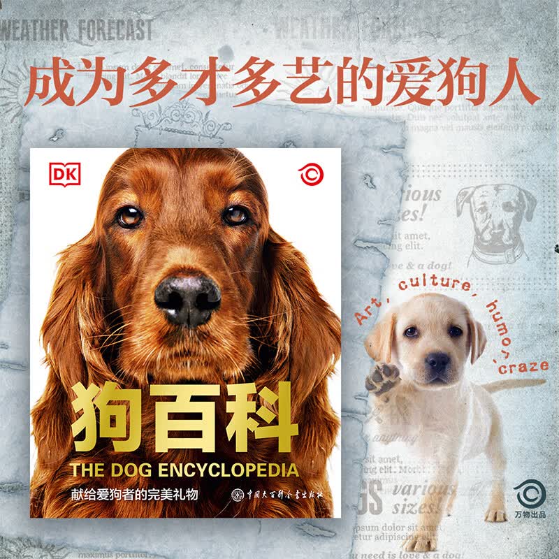 DK狗百科