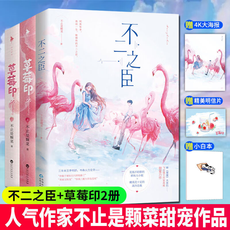 不二之臣+草莓印/不止是颗菜青春文学校园都市言情小说图书套装