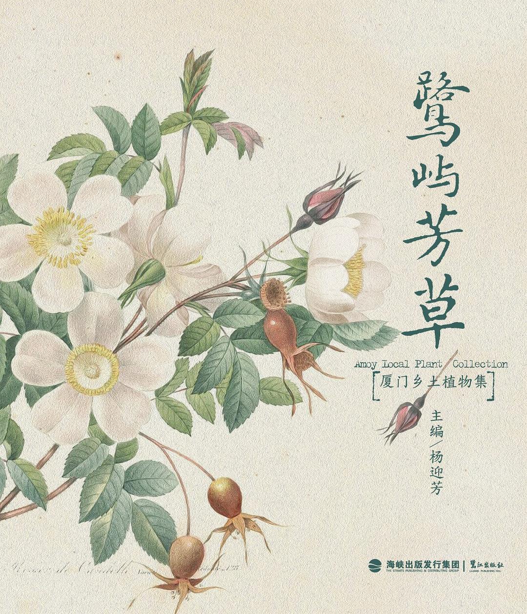 鹭屿芳草 杨迎芳【书】