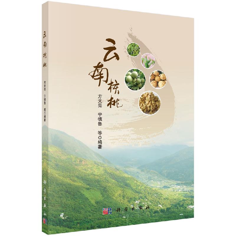 云南核桃科学出版直发/科学出版社