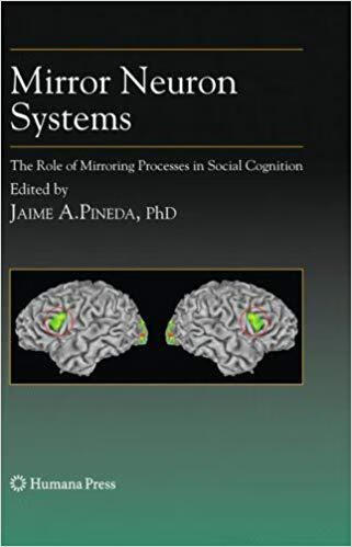 Mirror Neuron Systems