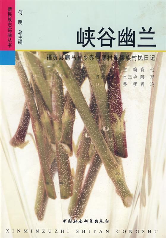 峡谷幽兰 肖迎 主编【书】