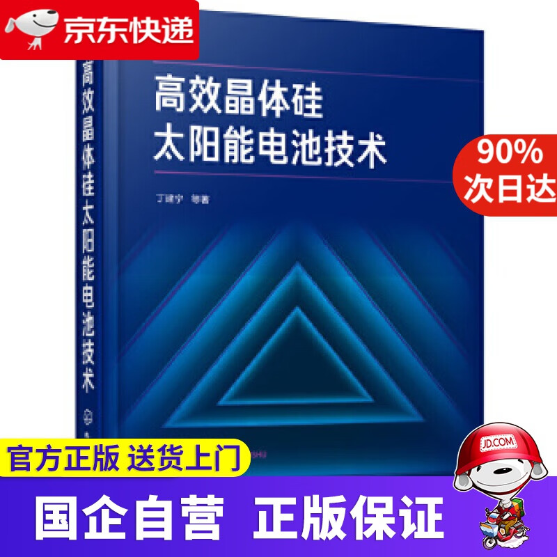高效晶体硅太阳能电池技术 化学工业出版社 9787122349569