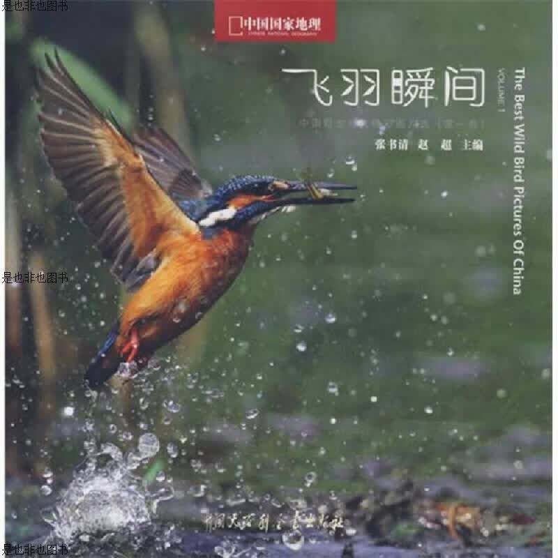 飞羽瞬间