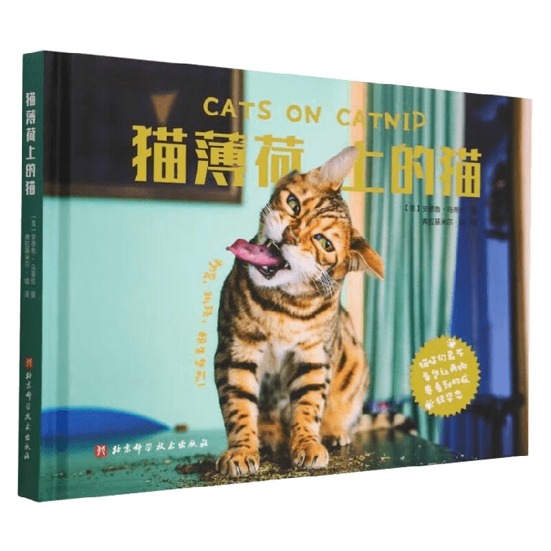 猫薄荷上的猫 安德鲁·马蒂拉 著 家居