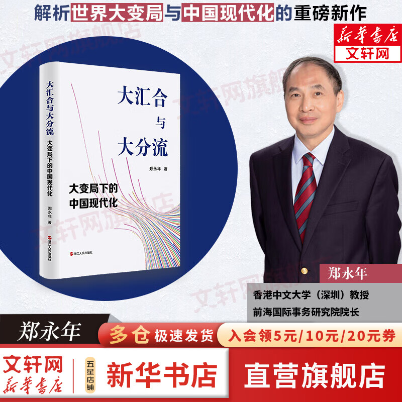 大汇合与大分流 大变局下的中国现代化 郑永年 著 浙江人民出版社 9787213109942 新华文轩旗舰店 图书