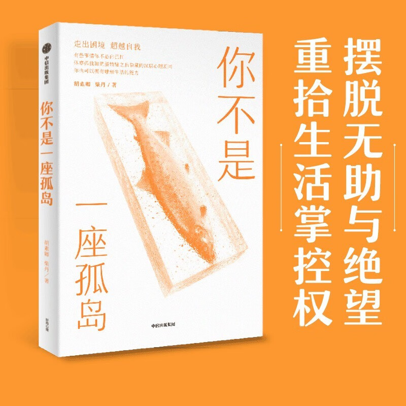你不是一座孤岛 走出困境 心理疗愈 中信出版社