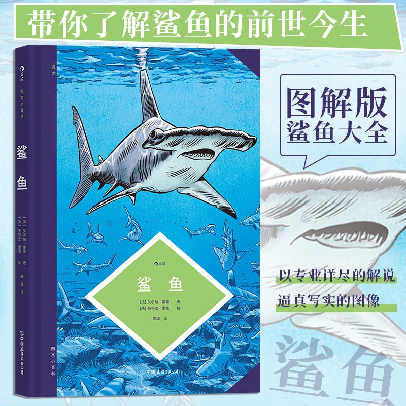 鲨鱼(精)/图文小百科