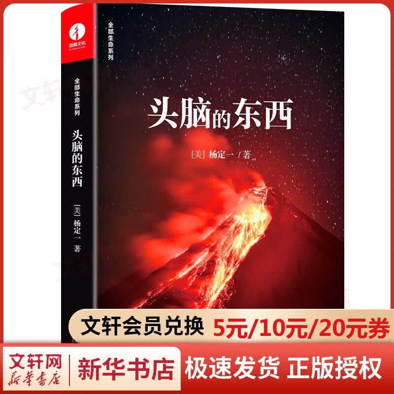 头脑的东西 图书