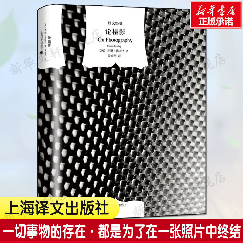论摄影插图珍藏本苏珊桑塔格摄影理论教程摄影笔记摄影集人像摄影摄影构图学后期处理技法单反手机摄影拍摄书