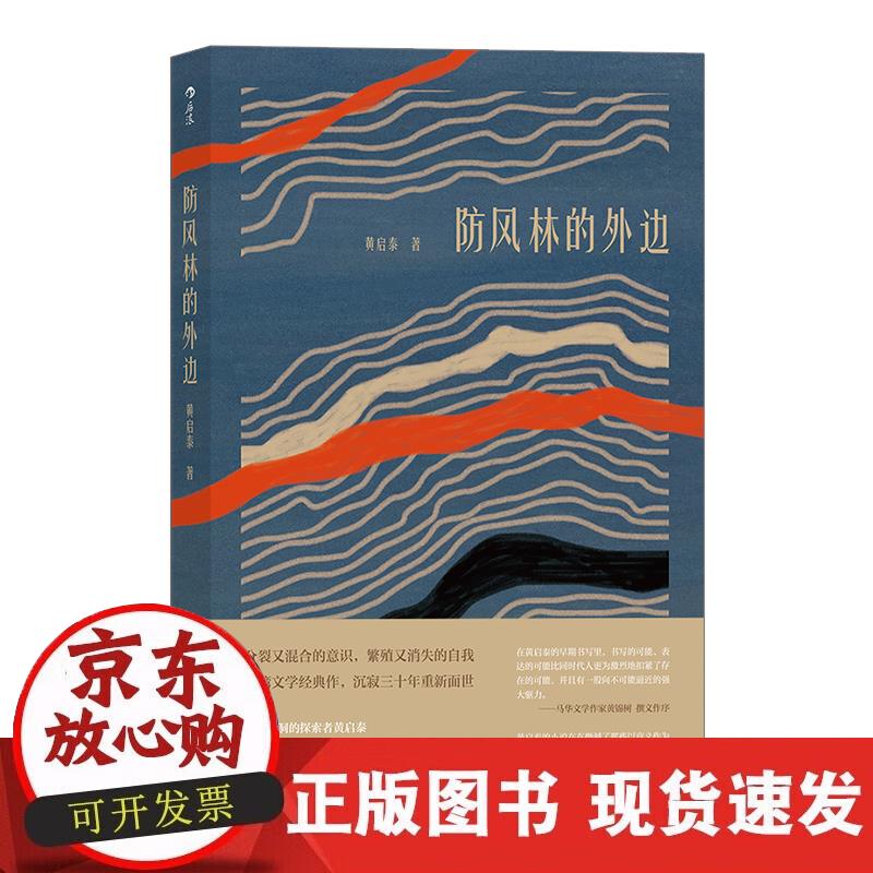 【现货】防风林的外边