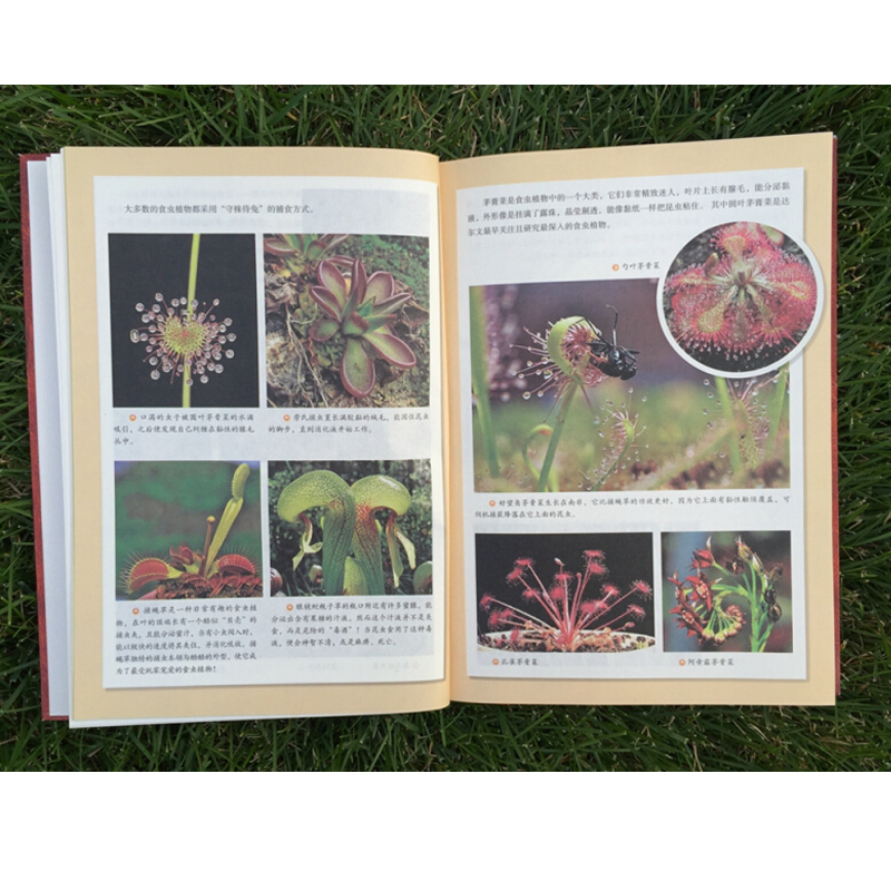 食虫植物/科学元典丛书