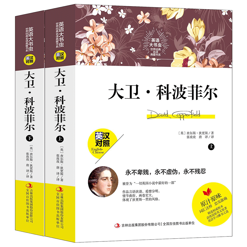 英语大书虫：大卫·科波菲尔上下