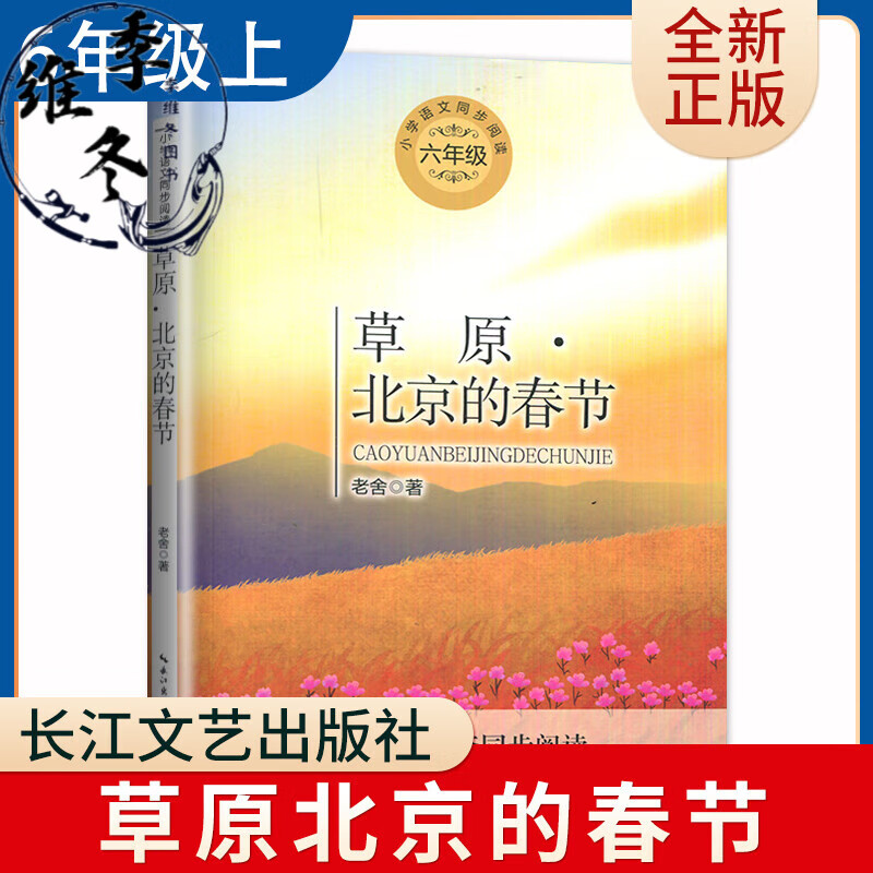 好书伴我成长六年级上册下册寒暑假课外阅读 童年+紫藤萝瀑布丁香结+草原北京的春天 竹节人 爱丽丝漫游 草原·北京的春节