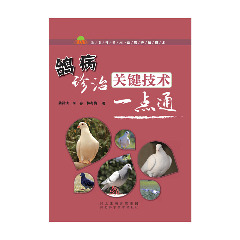 鸽病诊治关键技术一点通