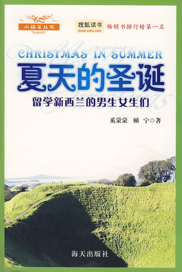 夏天的圣诞:留学新西兰的男生女生们 奚蒙蒙 海天出版社