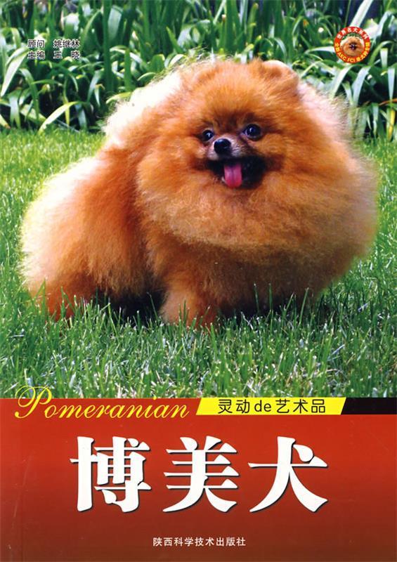 博美犬）灵动de艺术品