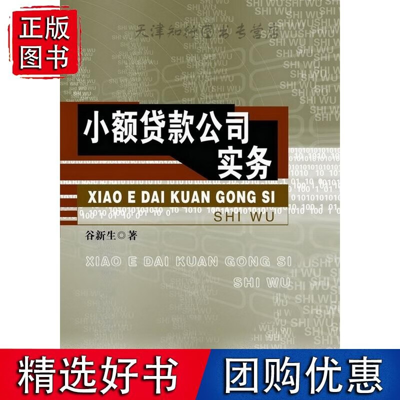 小额贷款公司实务
