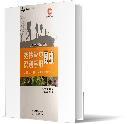 秦岭常见昆虫识别手册