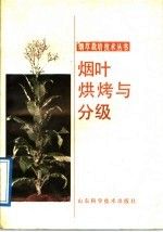烟叶烘烤与分级