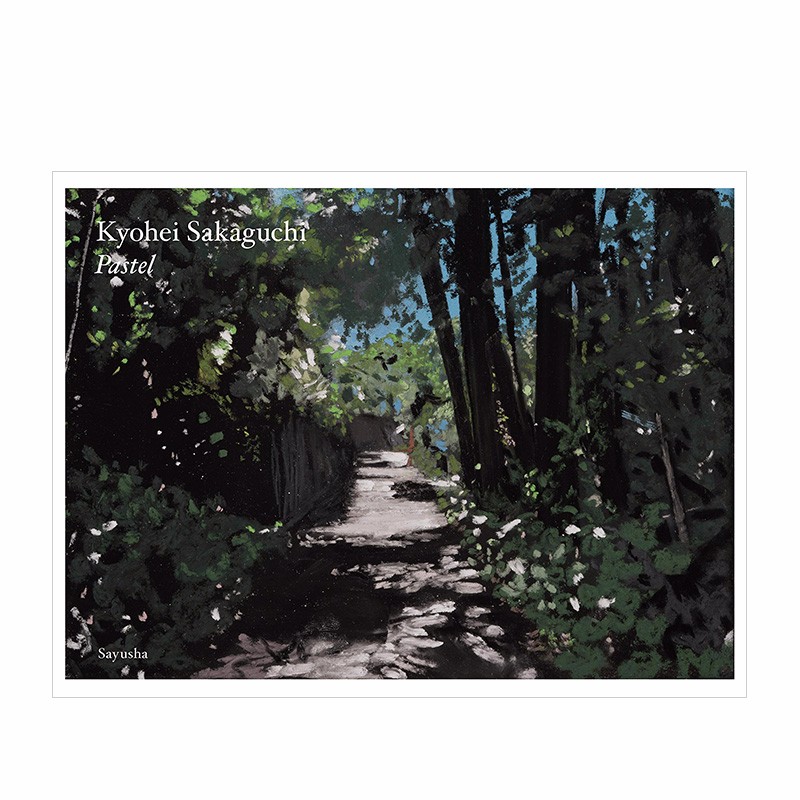 Pastel 坂口恭平 色粉画 进口日文原版 艺术画作作品鉴赏善本图书