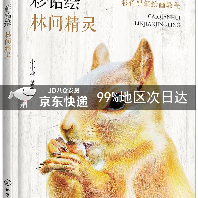 彩色铅笔绘画教程--彩铅绘——林间精灵