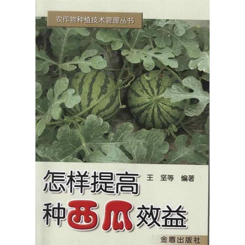 农作物种植技术管理丛书:怎样提高种西瓜效益 王坚 等 著 金盾出版社