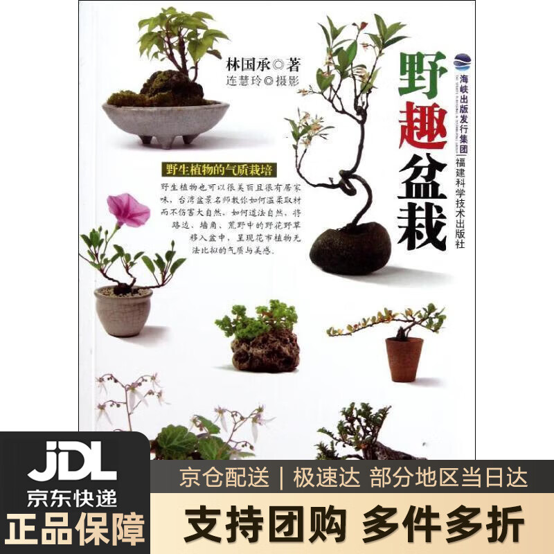 【 送货上门】野趣盆栽