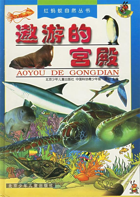 遨游的宫殿