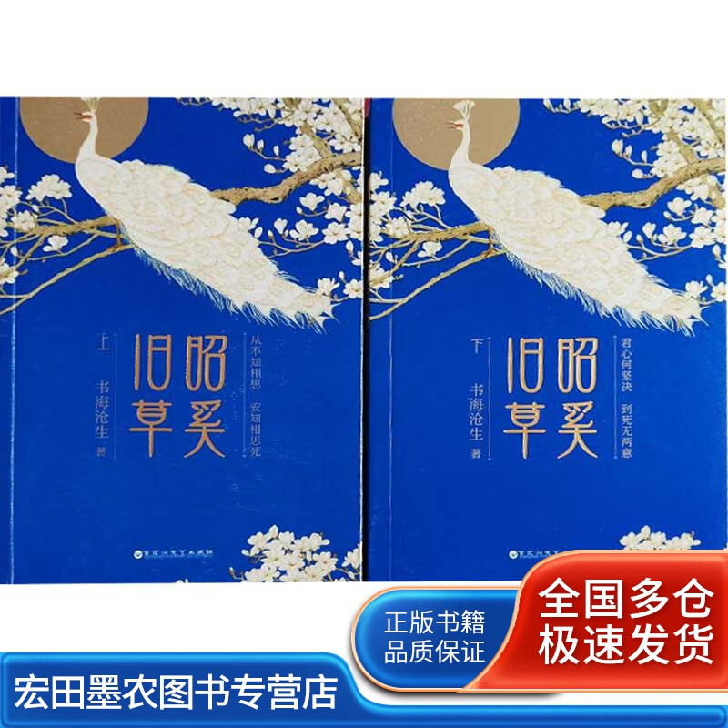 昭奚旧草 上 下【好书】
