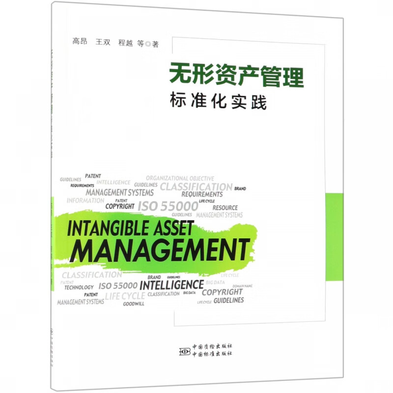 无形资产管理标准化实践 高昂 王双 程越著