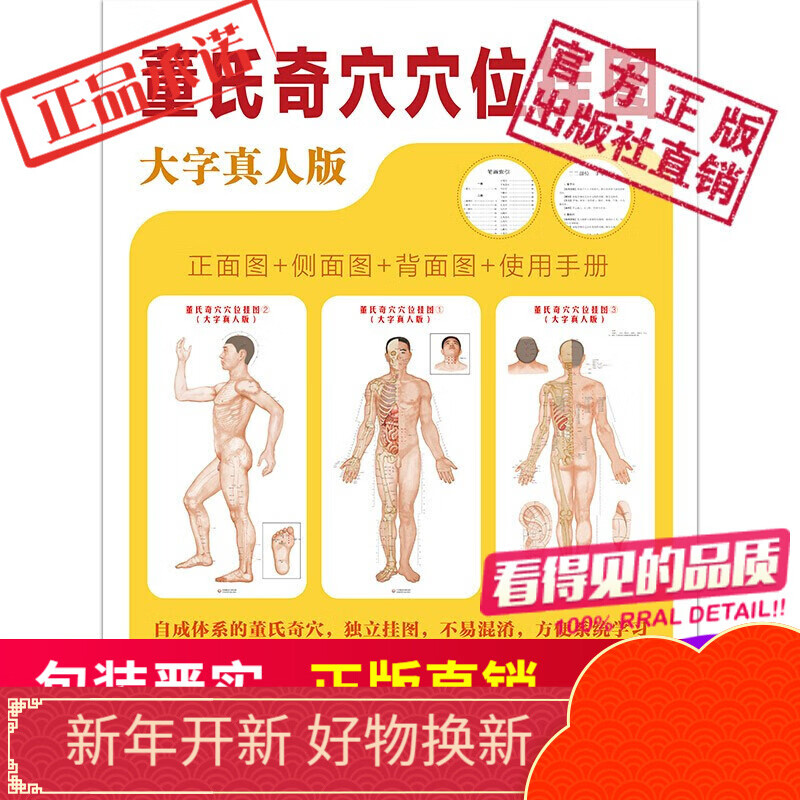 董氏奇穴穴位挂图中国医药科技出版社