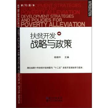 扶贫开发战略与政策 pdf格式下载
