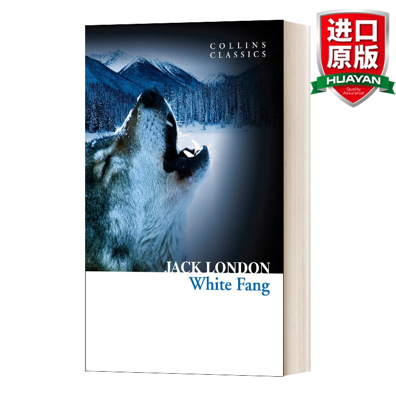 White Fang 英文原版 白牙 Collins Classics 柯林斯经典系列 英文版 进口英语原版书籍