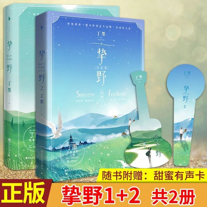 丁墨《挚野1+2》全2册 下单赠超甜蜜有声卡 青春言情甜文小说