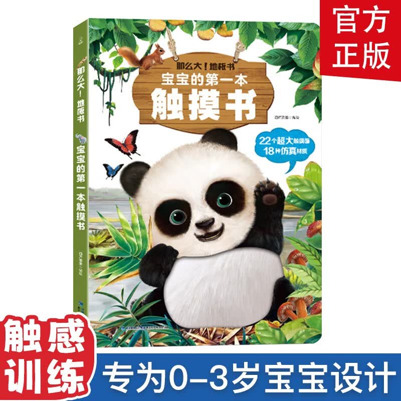 婴幼儿早教触摸书 那么大，地板书！宝宝的第一本触摸书 感官刺激撕不烂的立体幼儿读物 早教启蒙幼儿图书 绘本0-3岁 宝宝的第一本触摸书（地板书）