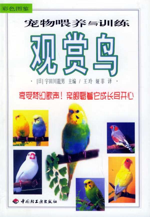 宠物喂养与训练:观赏鸟