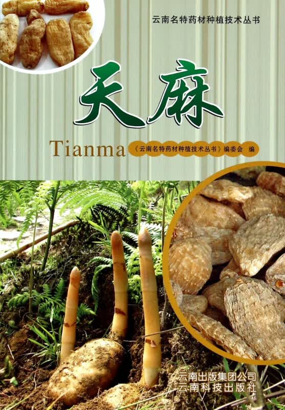 天麻/云南名特药材种植技术丛书
