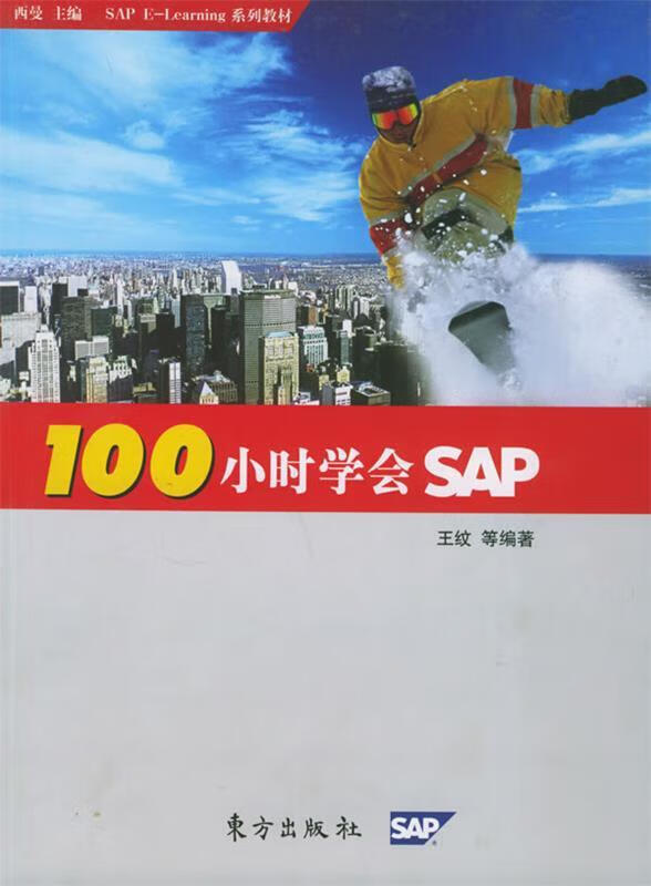 100小时学会SAP 王纹 等 著