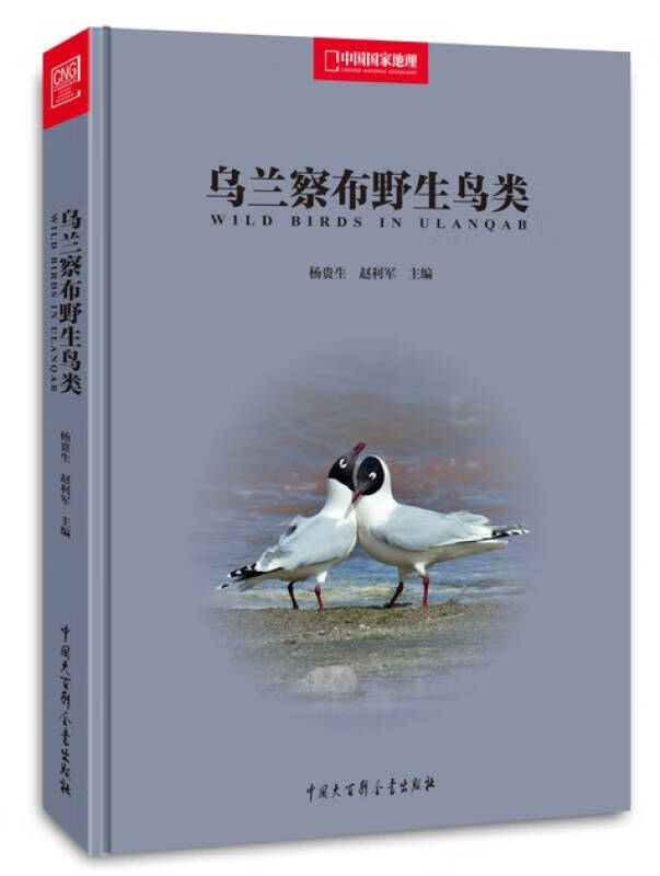 乌兰察布野生鸟类【好书】