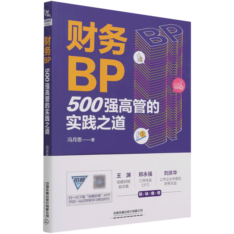 财务BP(500强高管的实践之道)