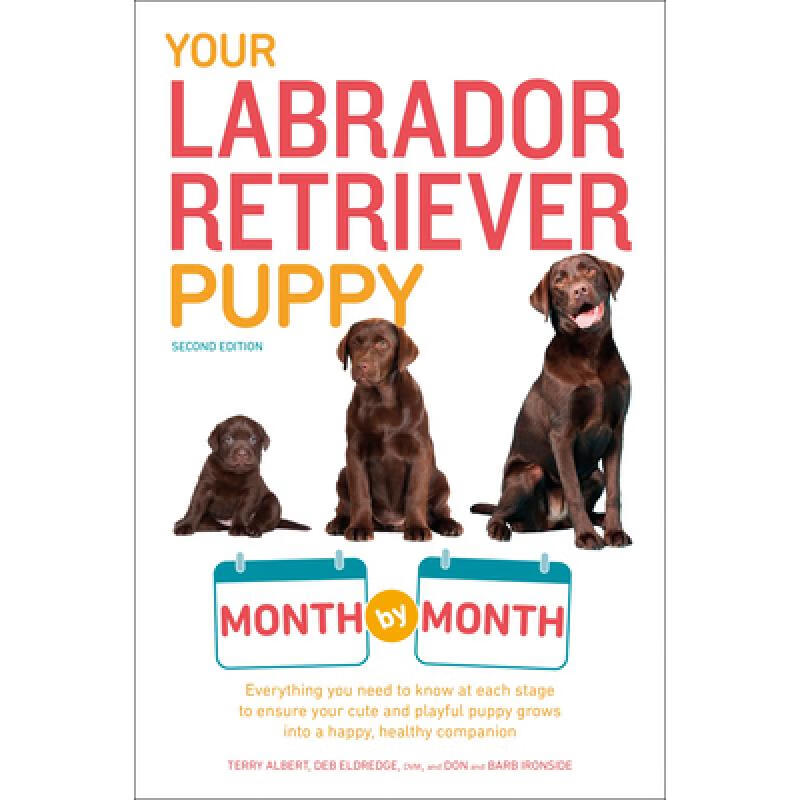 Your Labrador Retriever Puppy Month by Month...