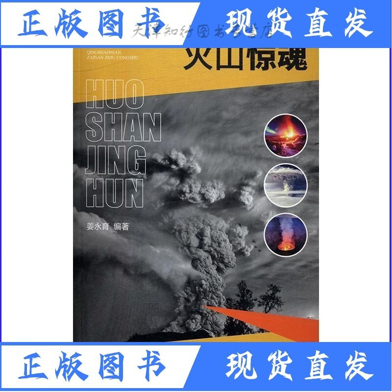 全新速发火山惊魂姜永育 火山青少年读物自然科学Z