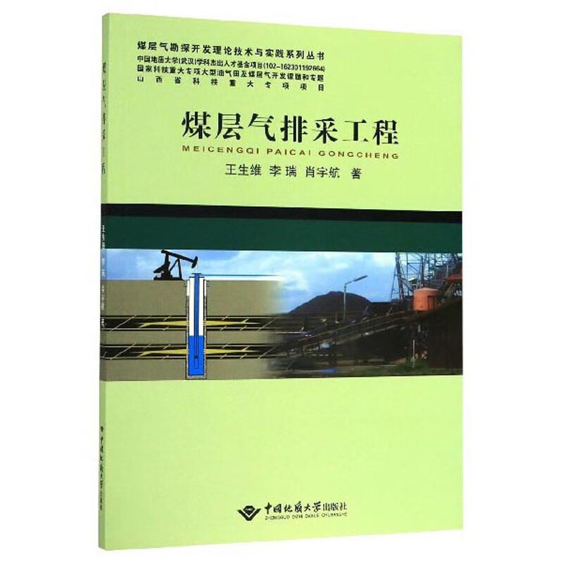 煤层气排采工程/煤层气勘探开发理论技术与实践系列丛书