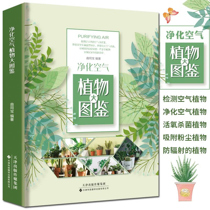 净化空气植物大图鉴