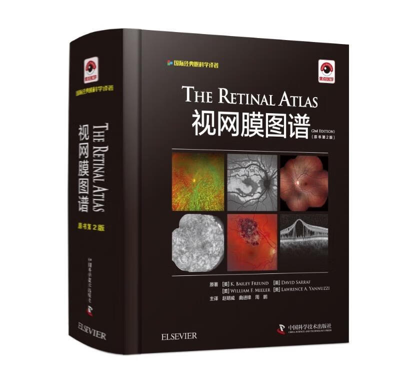 视网膜图谱