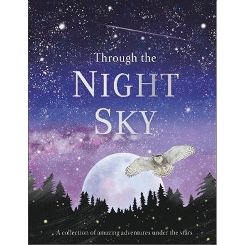 Through the Night Sky