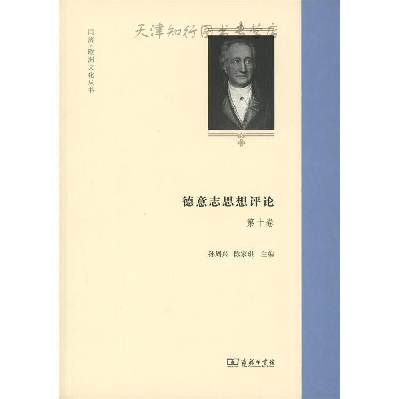德意志思想评论 第十卷
