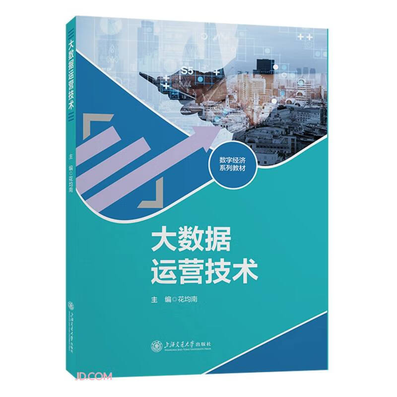 大数据运营技术(数字经济系列教材)