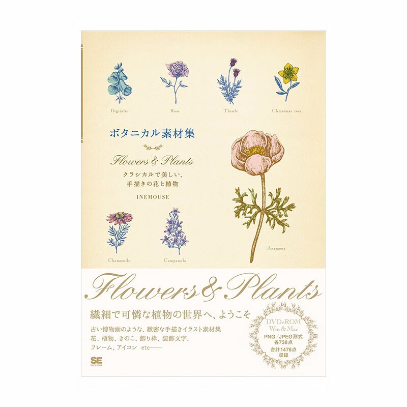 植物花卉 经典素材集 ボタニカル素材集 进口日文原版 植物世界 装饰框 装饰文字 框架 图标善本图书